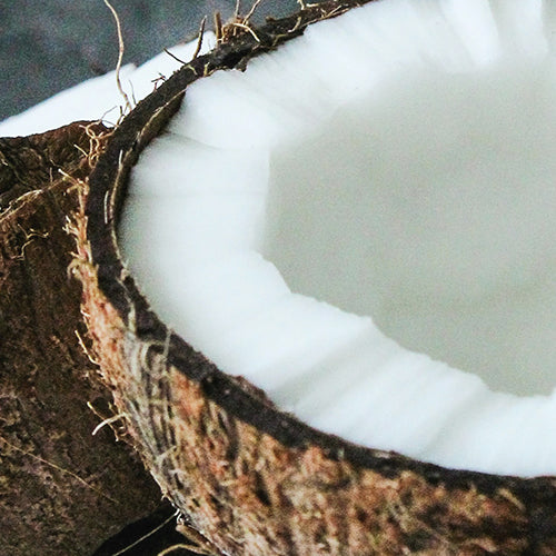 Fifty Shades Loofah Soap - Pack of 10 – SoapyMania