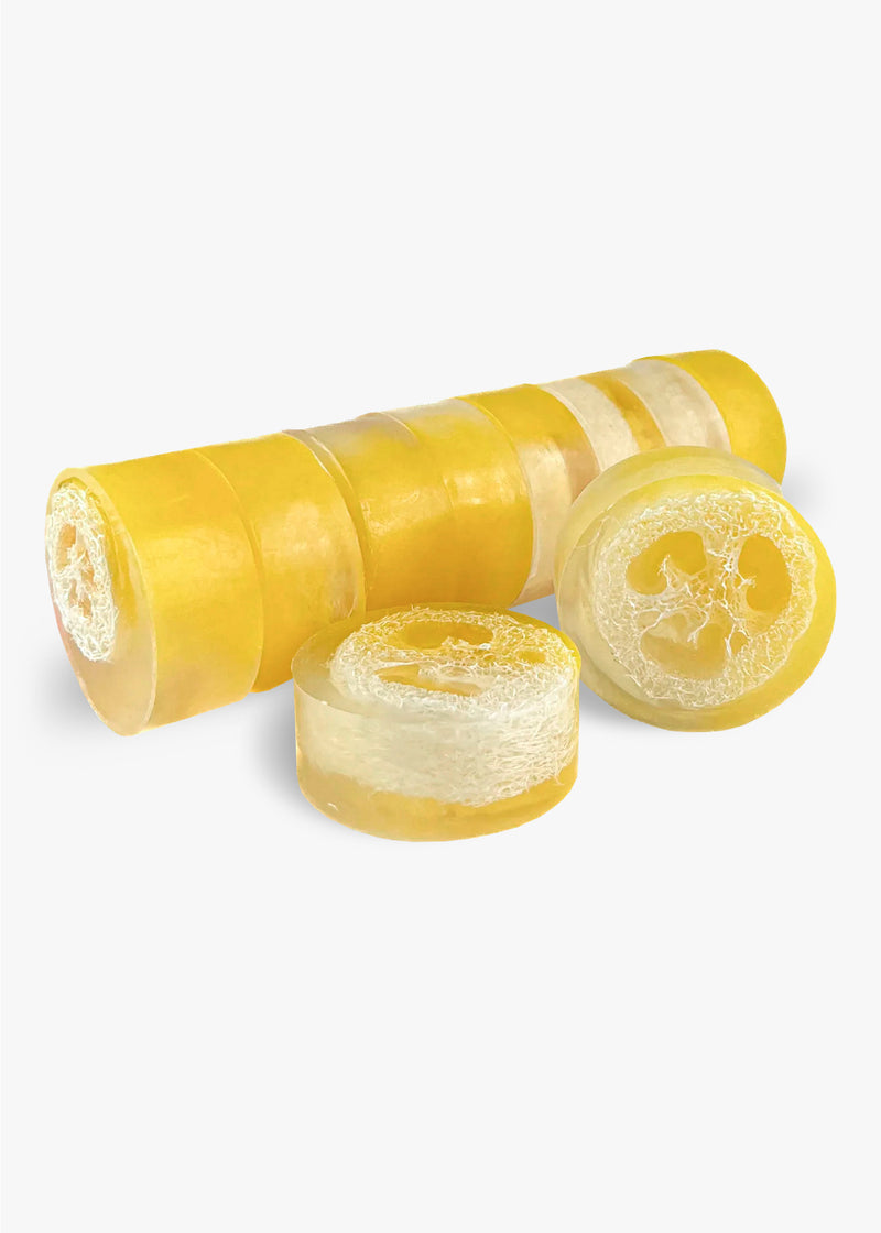 White Tea & Ginger Loofah Soap - Pack of 10 – SoapyMania